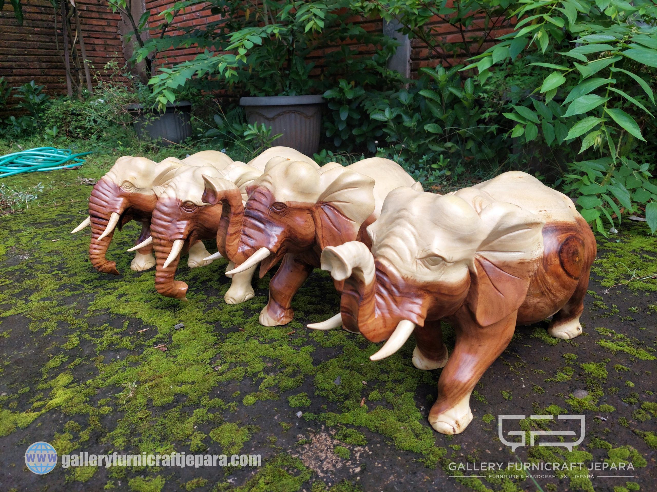 Patung Gajah Kayu Trembesi Solid 50cm Natural Satin Doff – Gallery ...