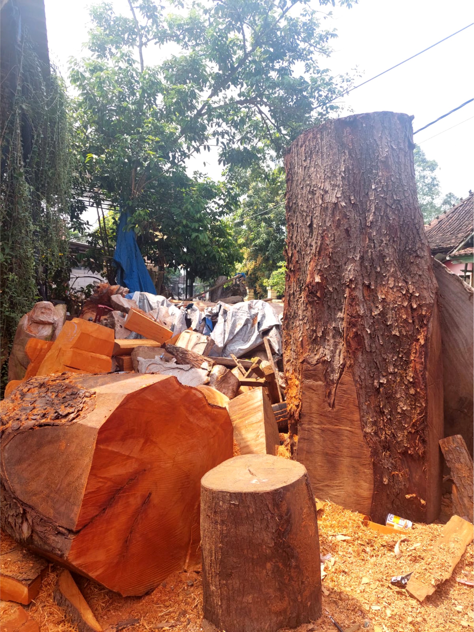 Patung St Mikael Kayu Mahogany Real Size – Gallery Furnicraft Jepara